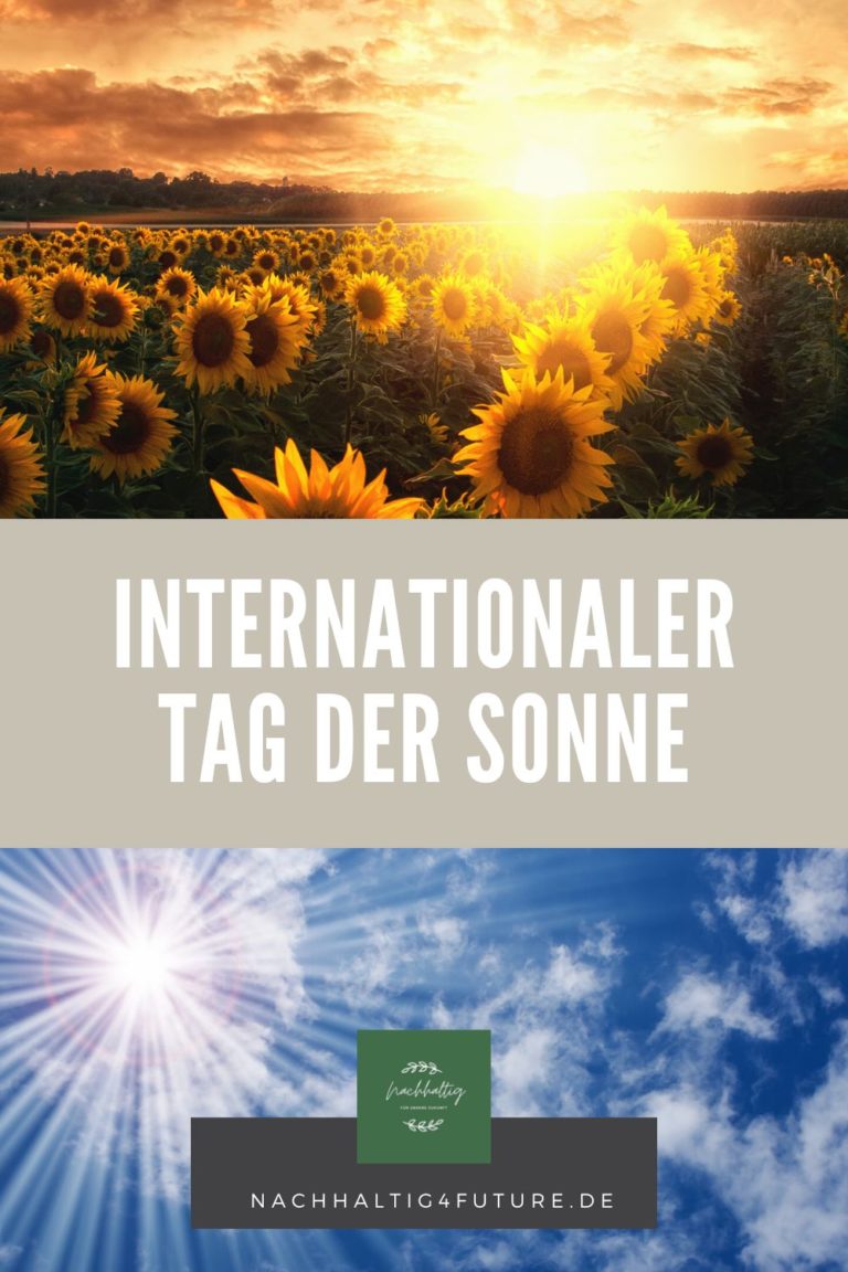Internationaler Tag der Sonne — Nachhaltig4future
