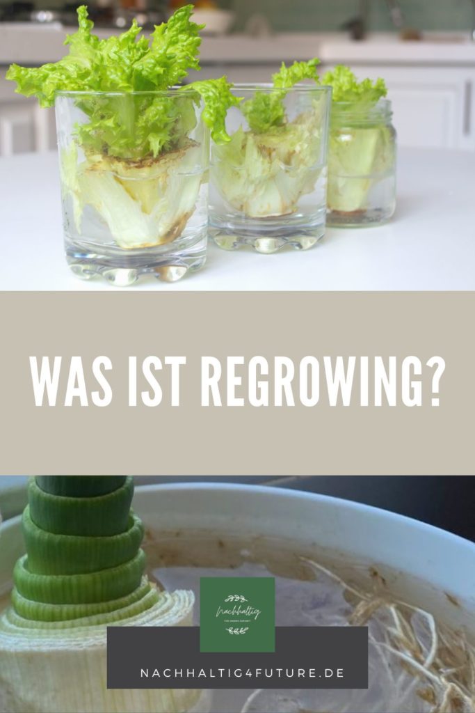 Was ist Regrowing? — Nachhaltig4future