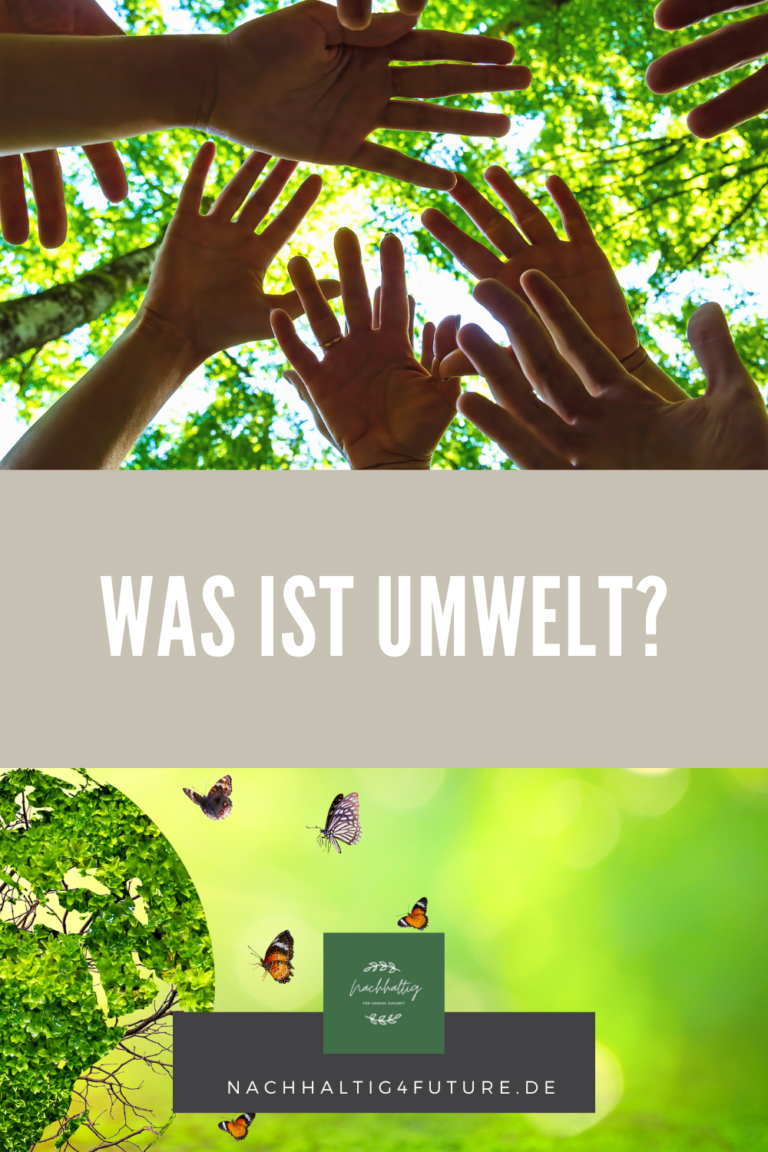 Was ist Umwelt? — Nachhaltig4future