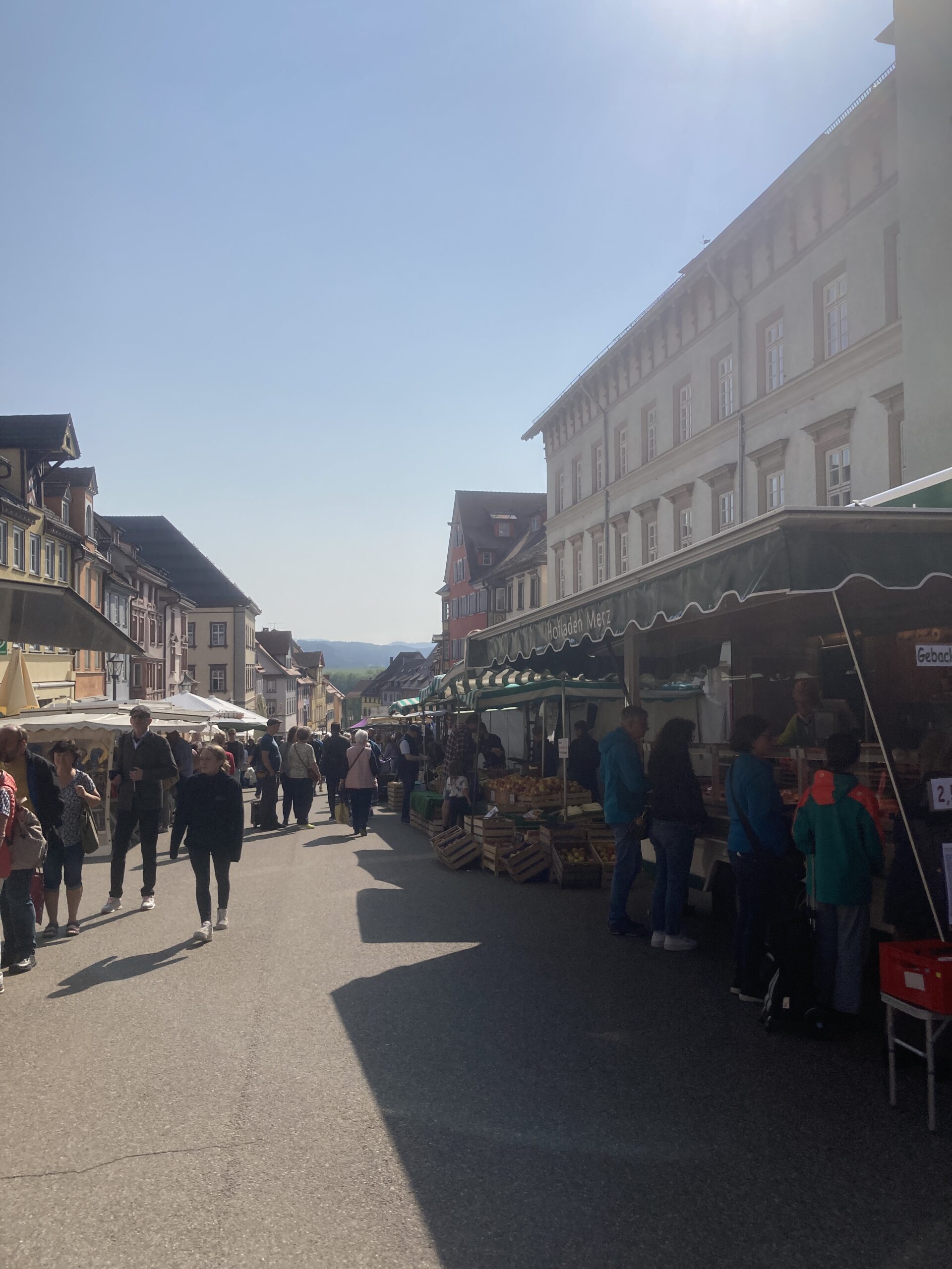 Auf dem Wochenmarkt einkaufen — Nachhaltig4future