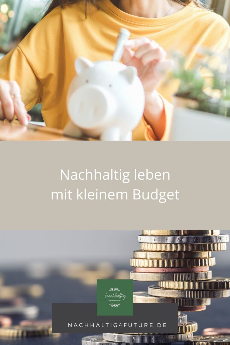 Nachhaltig leben mit kleinem Budget — Nachhaltig4future