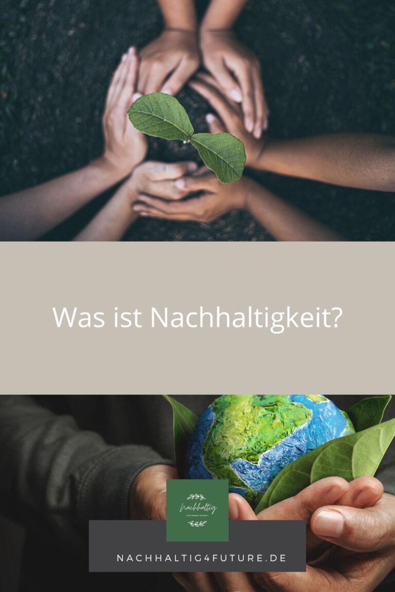 Was ist Nachhaltigkeit? — Nachhaltig4future