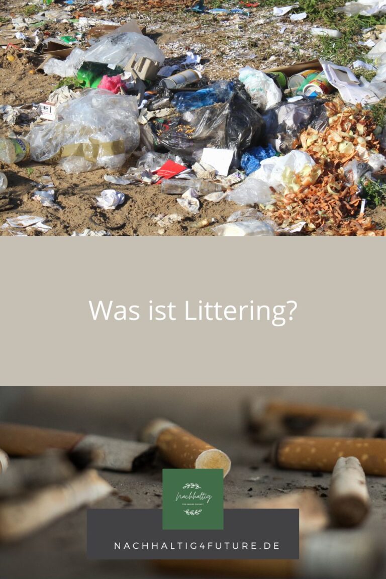 Was ist Littering? — Nachhaltig4future