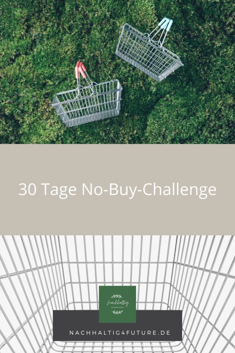 30 Tage No-Buy-Challenge — Nachhaltig4future