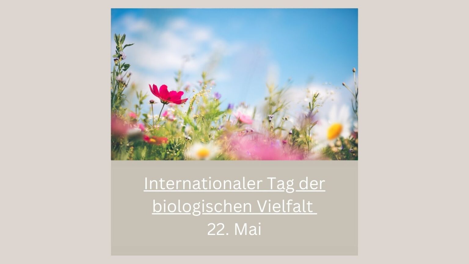 Internationaler Tag der biologischen Vielfalt — Nachhaltig4future